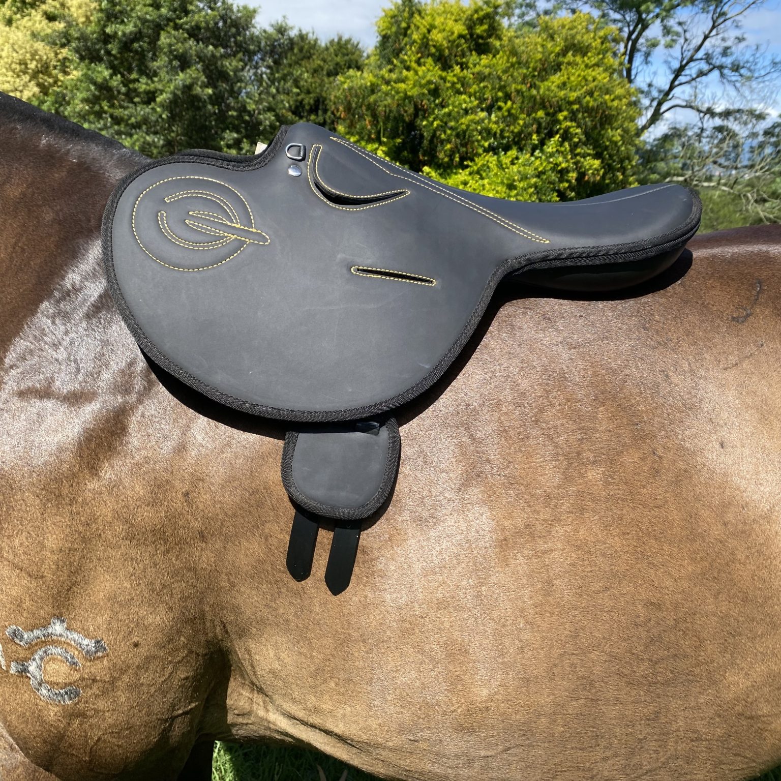 SADDLES - Allisons Saddlery - Widest Range of Equestrian Products