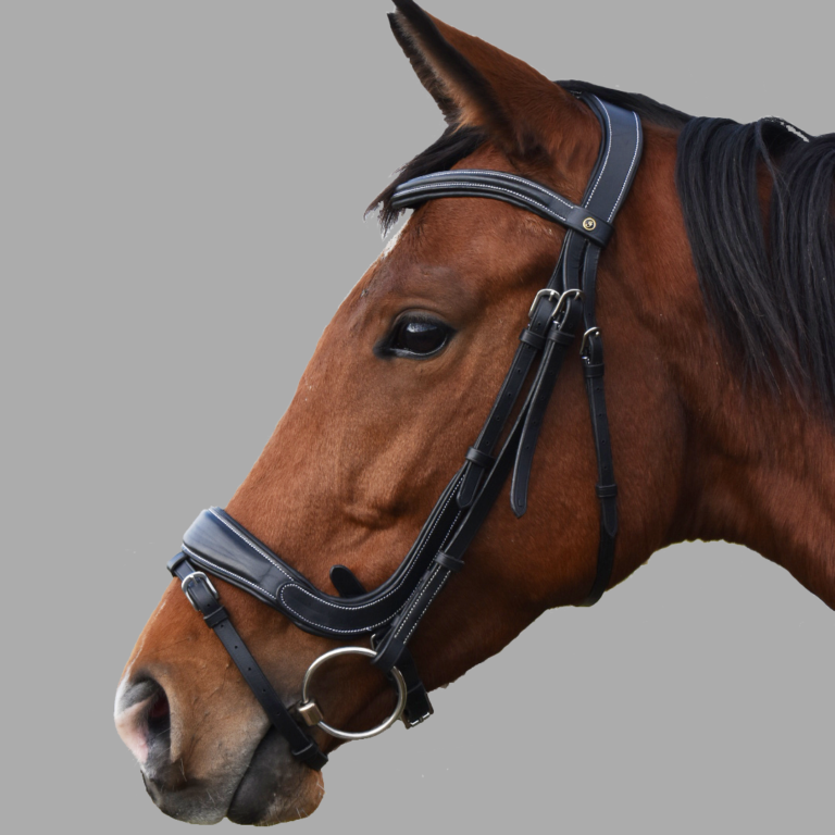BRIDLES & ACCESSORIES - Allisons Saddlery - Widest Range of Equestrian ...