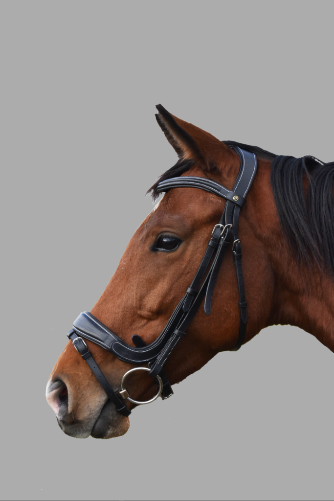 Bridle Indiana Relief With Rubber Reins - Allisons Saddlery - Widest ...