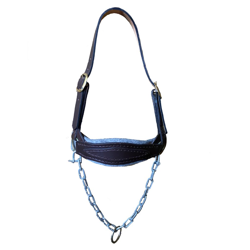 Cattle Show Halter - Allisons Saddlery - Widest Range of Equestrian ...