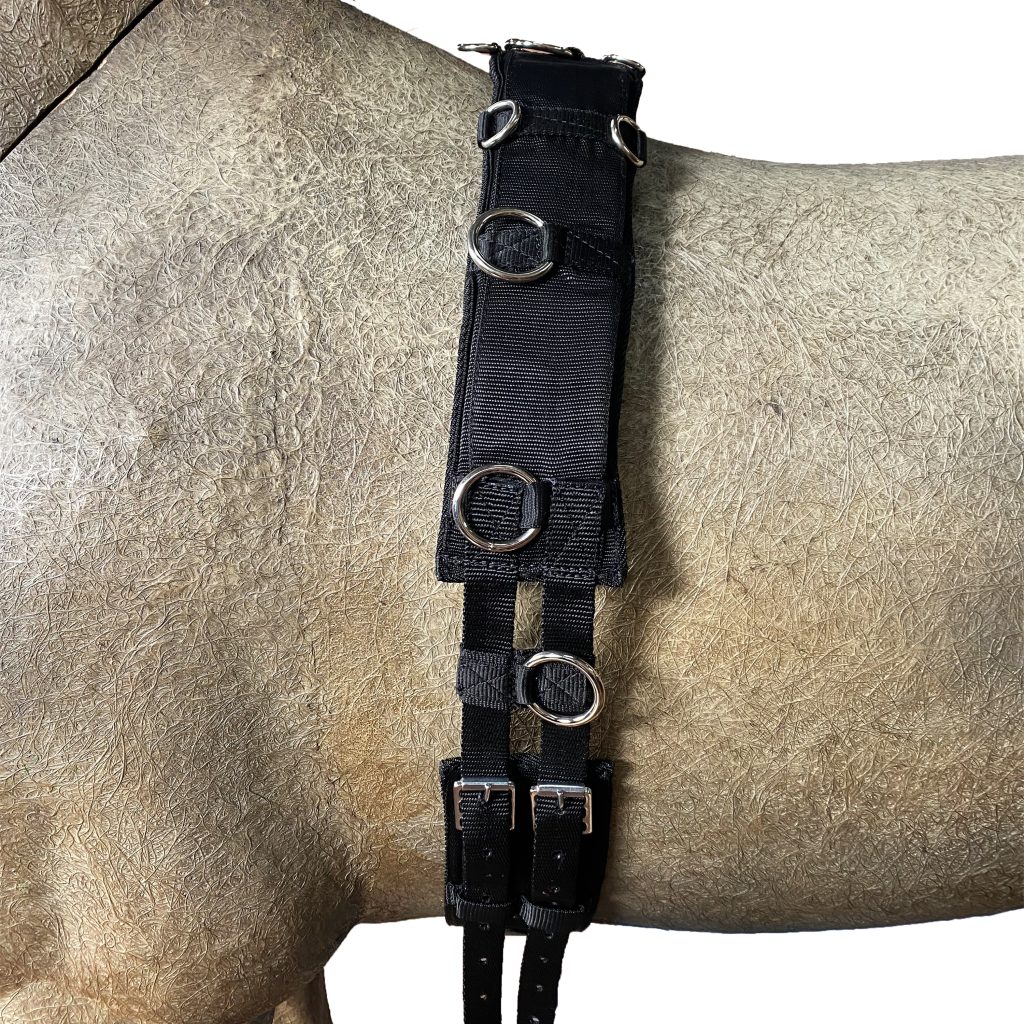 TRAINING EQUIPMENT - Allisons Saddlery - Widest Range of Equestrian ...