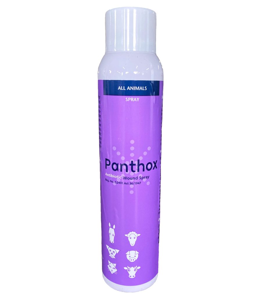 Panthox Wound Spray - Allisons Saddlery - Widest Range of Equestrian ...